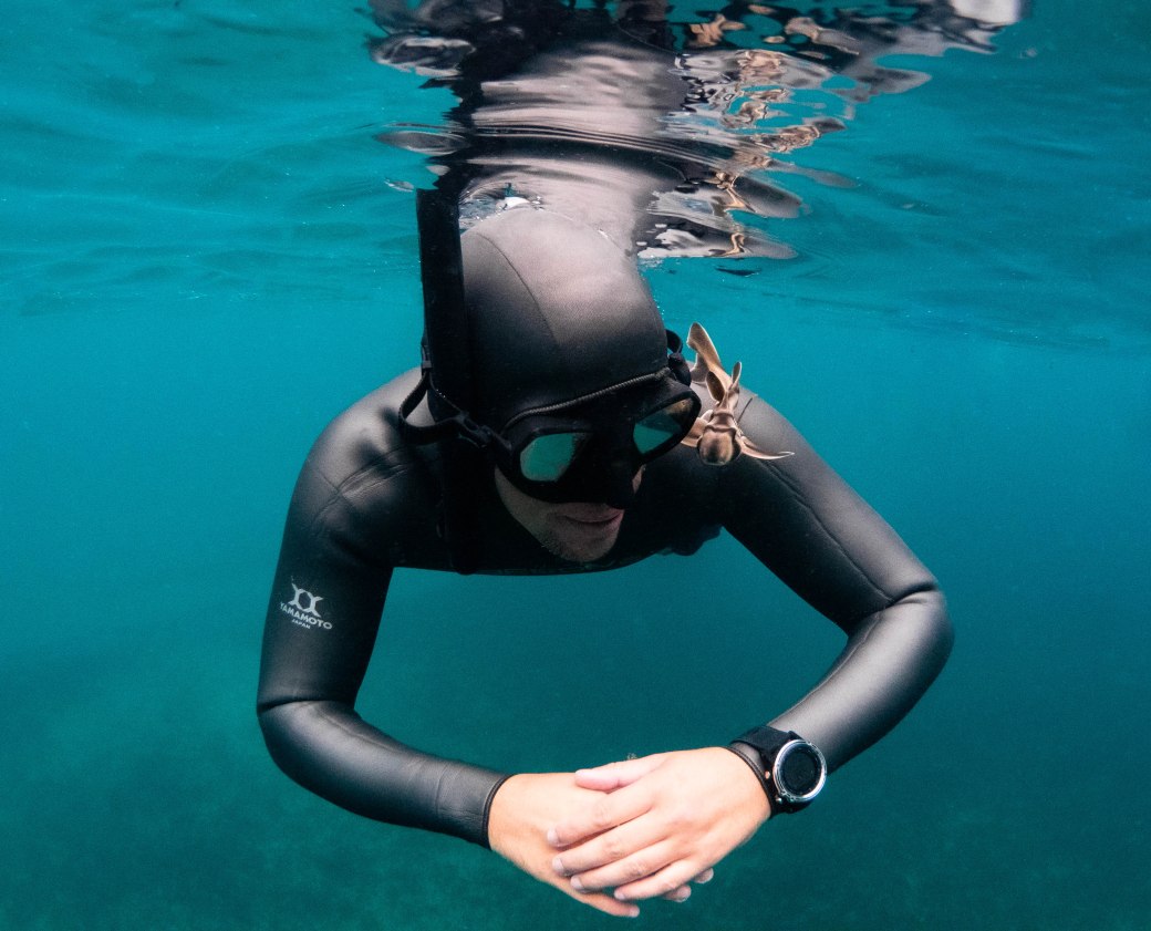 The Role of a Freediving Safety Consultant in Ocean Exploration and ...