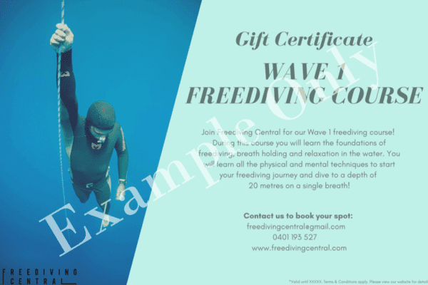 Gear | Freediving Central